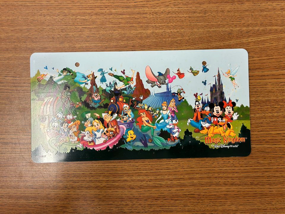 Disney Magic Kingdom Characters & Attractions Plastic License Plate ...