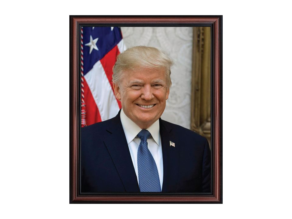 Donald Trump Official Presidential Portrait Poster | ID 20230547 by ...
