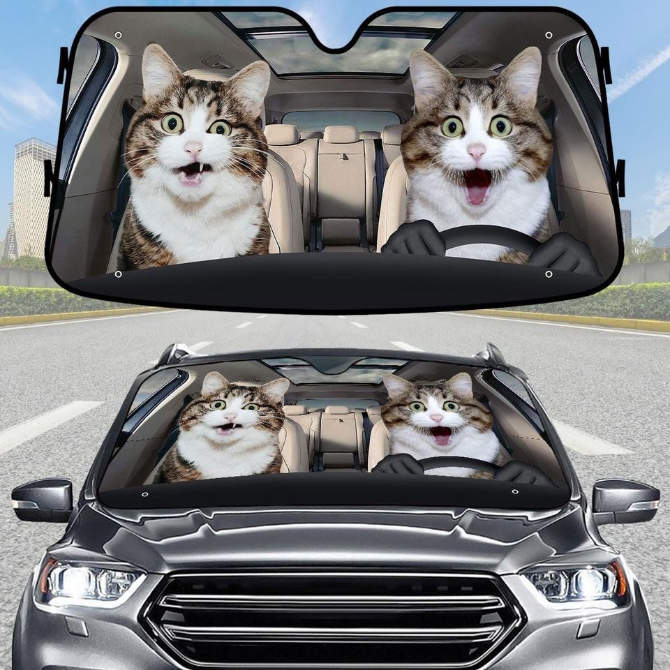 Funny Cat Meme Car Sunshade, Hilarious Kitty Windshield Cover, Internet ...