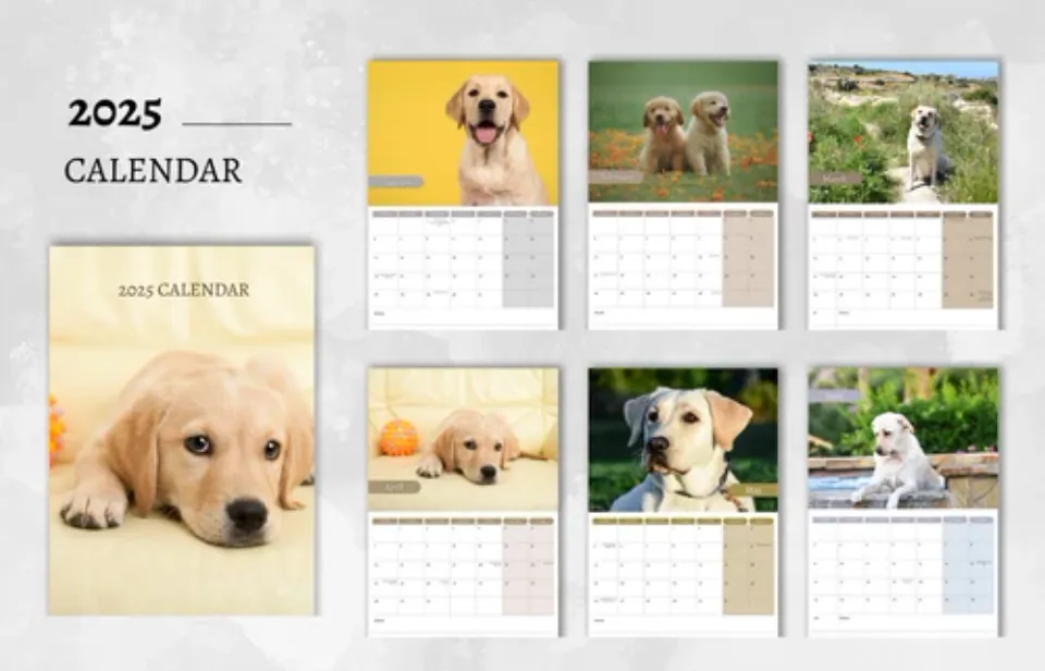 Labrador Calendar 2025: Monthly Wall Calendar with Notes, A4 Size | ID ...
