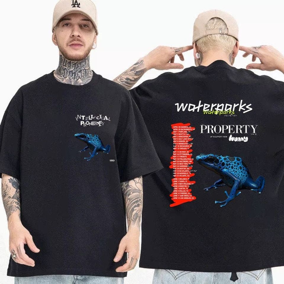 WaterParks Band Shirt, Waterparks The Property Tour Shirt, Intellectual ...