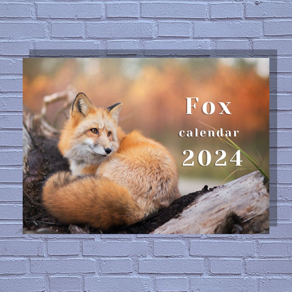 Fox 2024 Calendar | ID 12856223 by Elizabeth Castro | Printblur