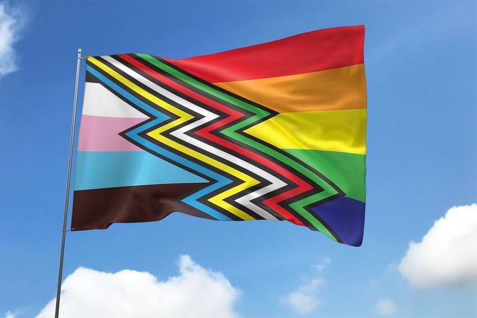 Disability Pride Month House Flag, Disability Support Flag, Disability ...